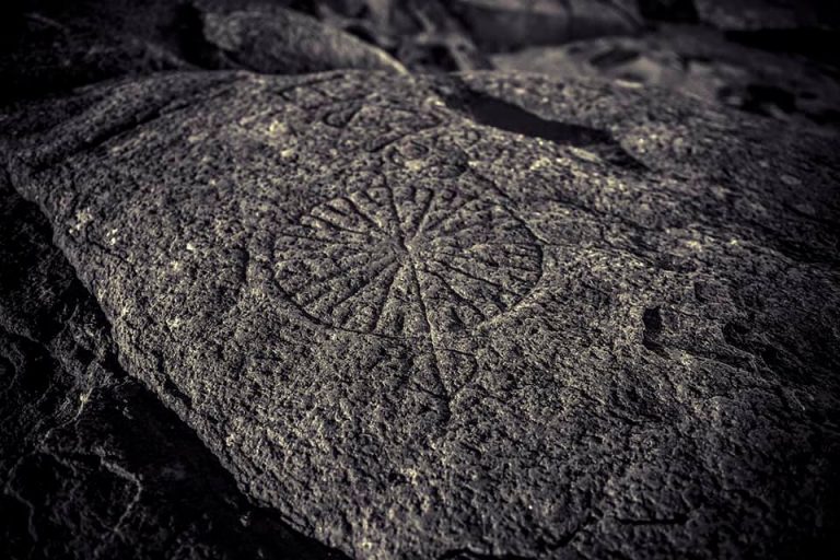 viking_sun_compass - Bill Schwab